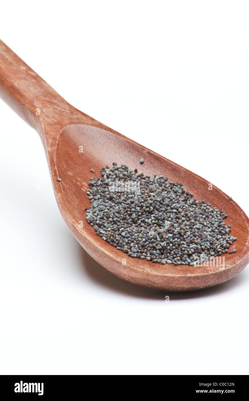 Close-up of poppy seed ((Papaver somniferum) on white background Stock ...
