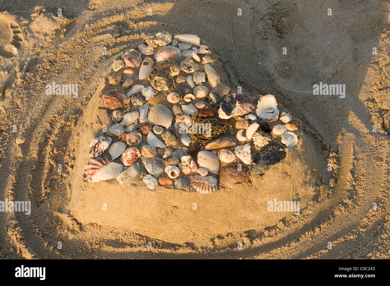 Heart made shells on beach hi-res stock photography and images - Alamy