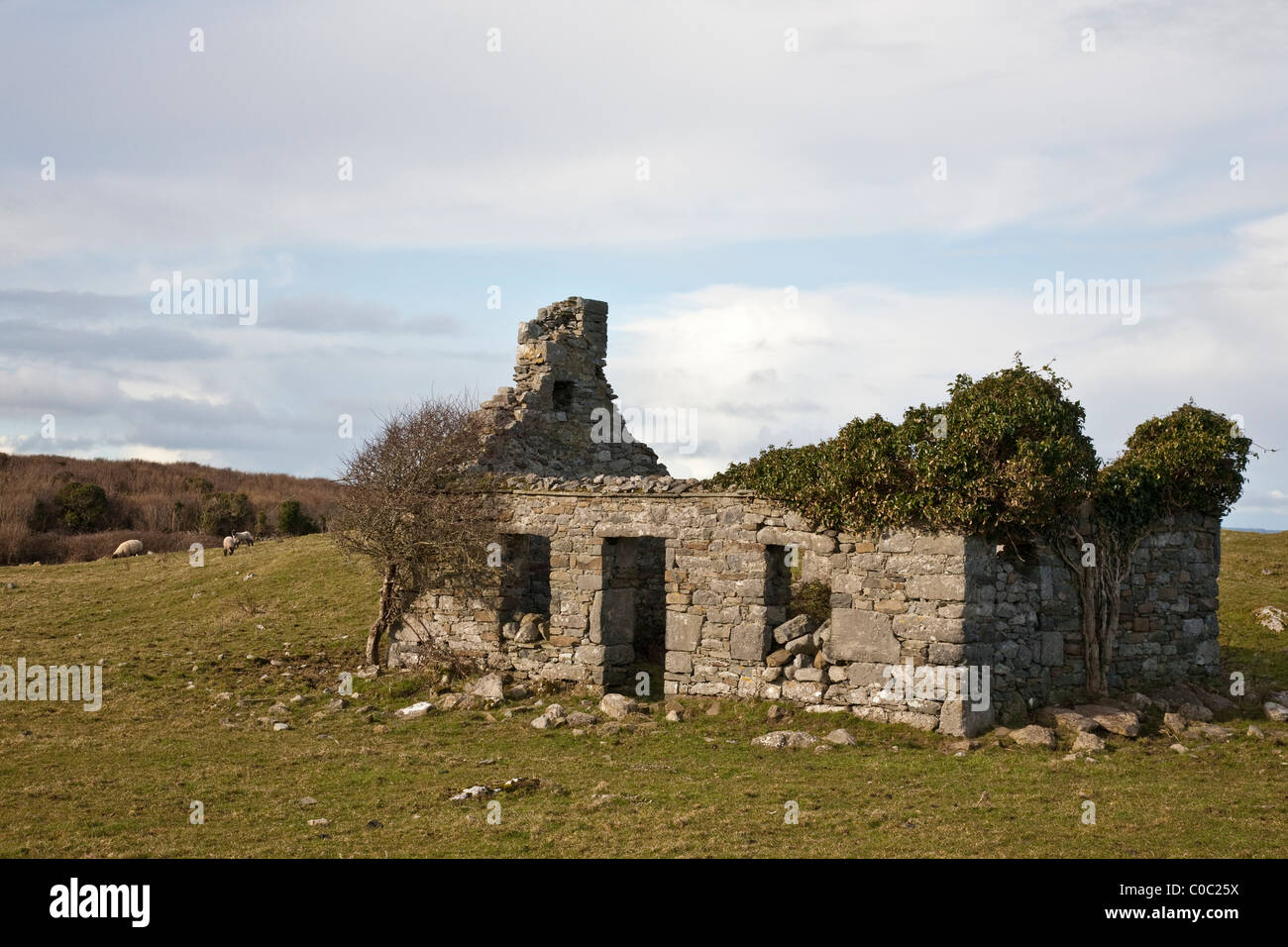 House crack ireland hi-res stock photography and images - Alamy
