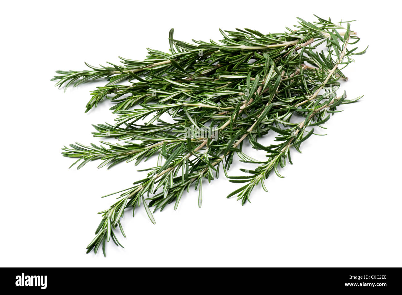 Rosemary leaf close up Cut Out Stock Images & Pictures - Alamy