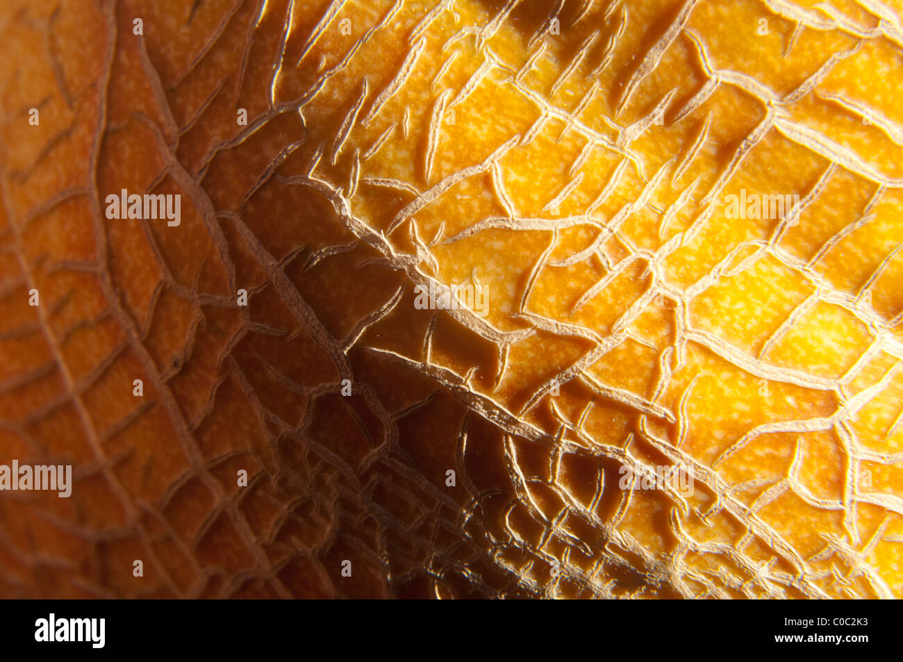 Melon skin close-up Stock Photo - Alamy