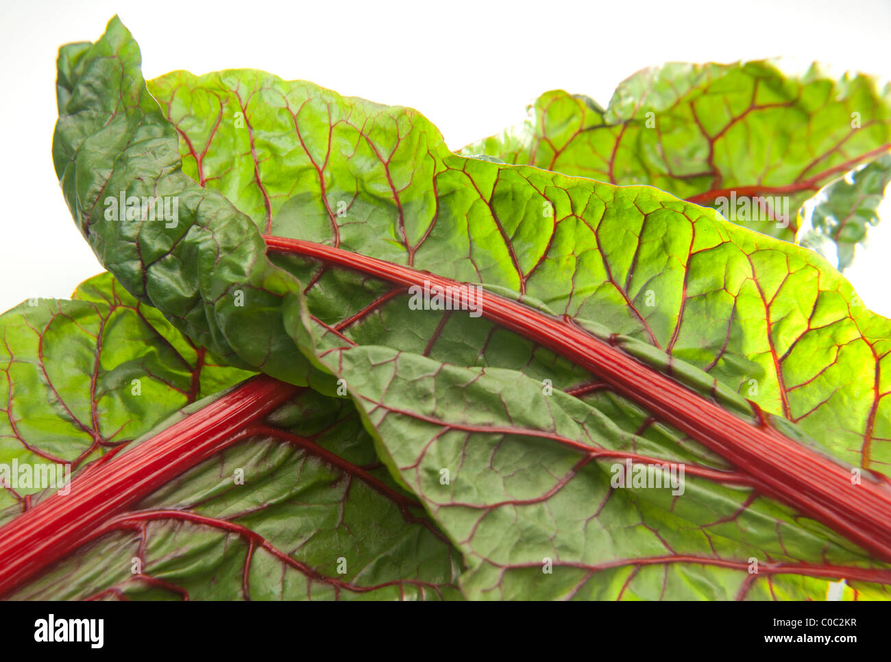 Organic Red Swiss Chard Stock Photo - Alamy