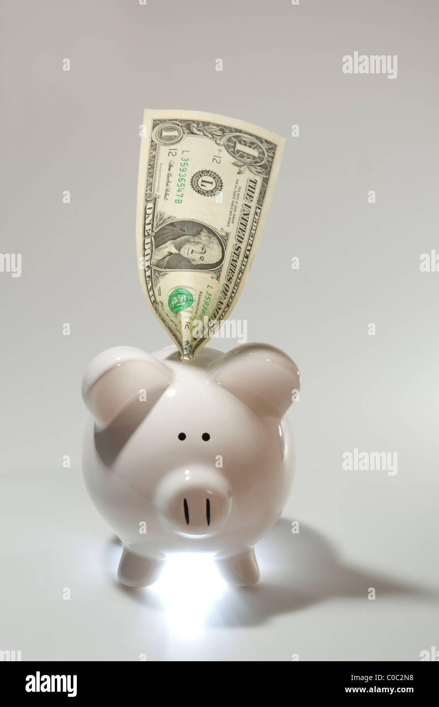White piggy bank with US dollar bill Stock Photo - Alamy