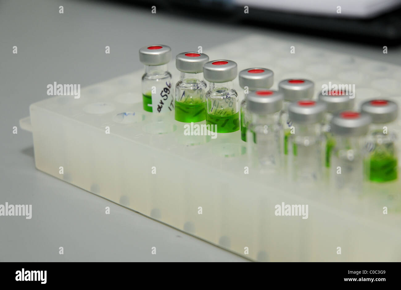 Small sample vials with marijuana solution in Central Forensic ...