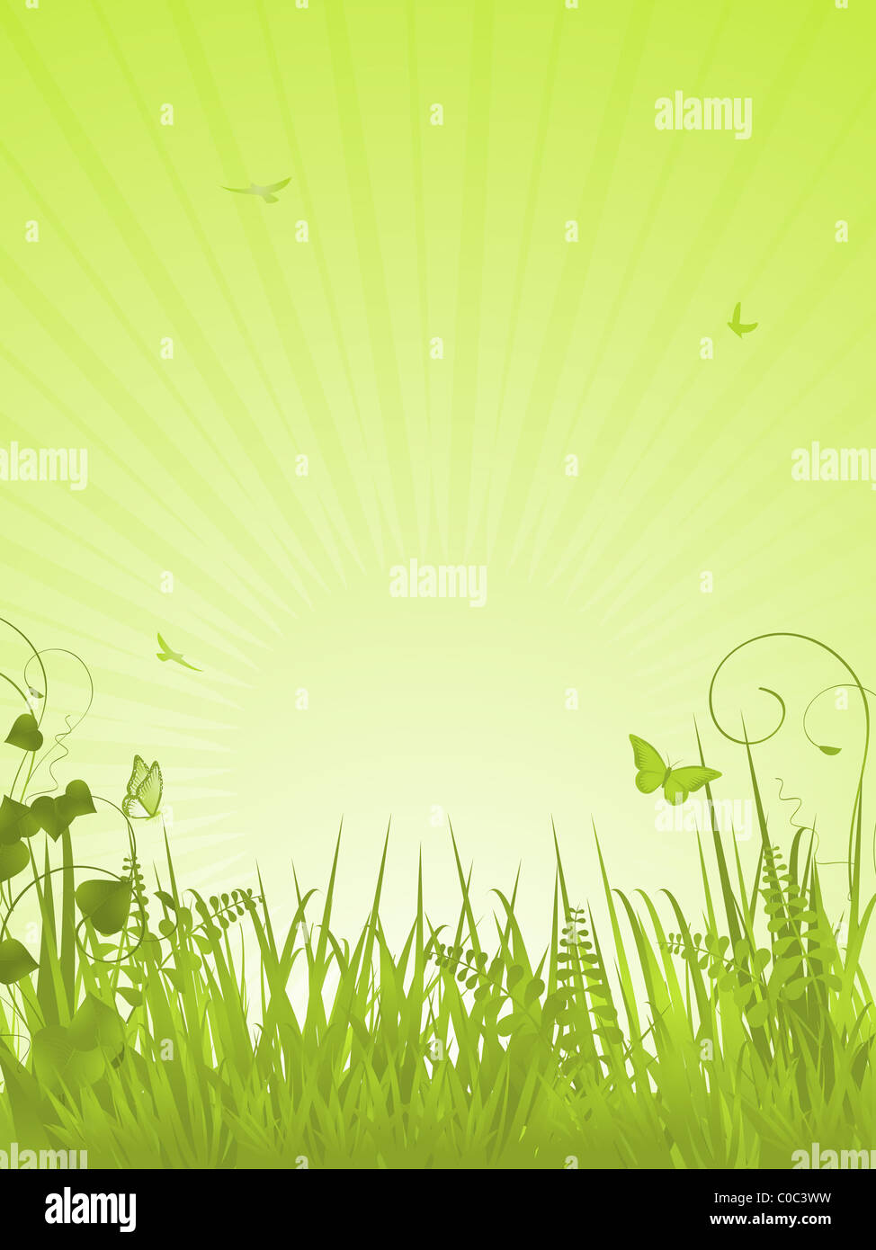 Spring background with butterflies, grasses and subtle light rays Stock ...
