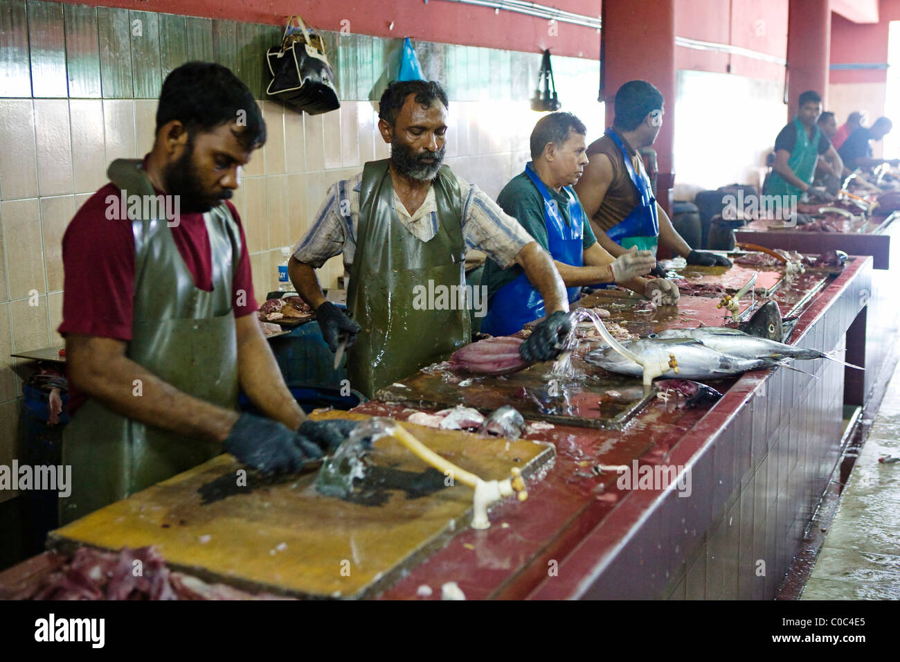 Fresh barracuda fish market hi-res stock photography and images - Alamy