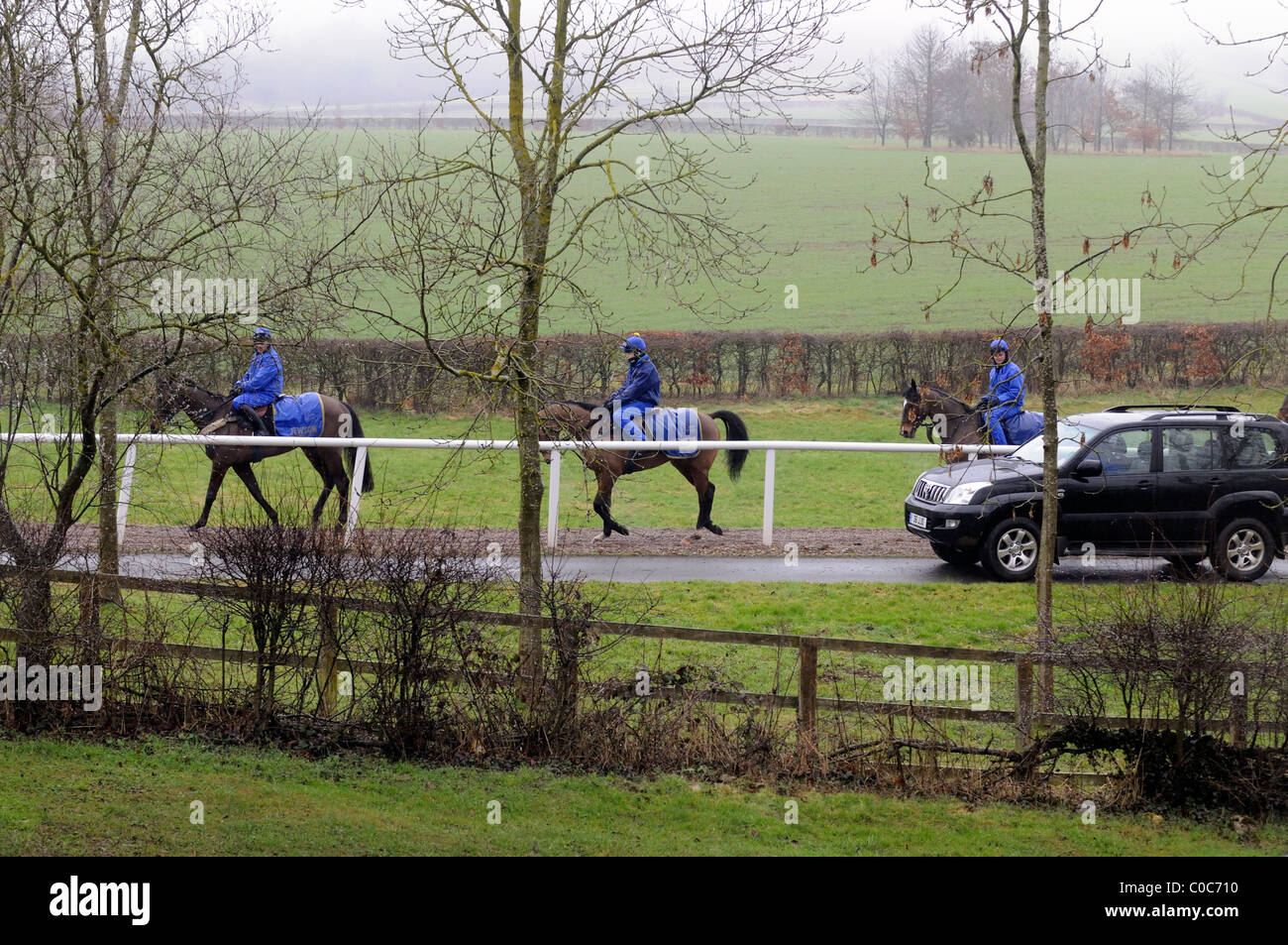 Racehorses being exercised on a wet February morning on the famous ...