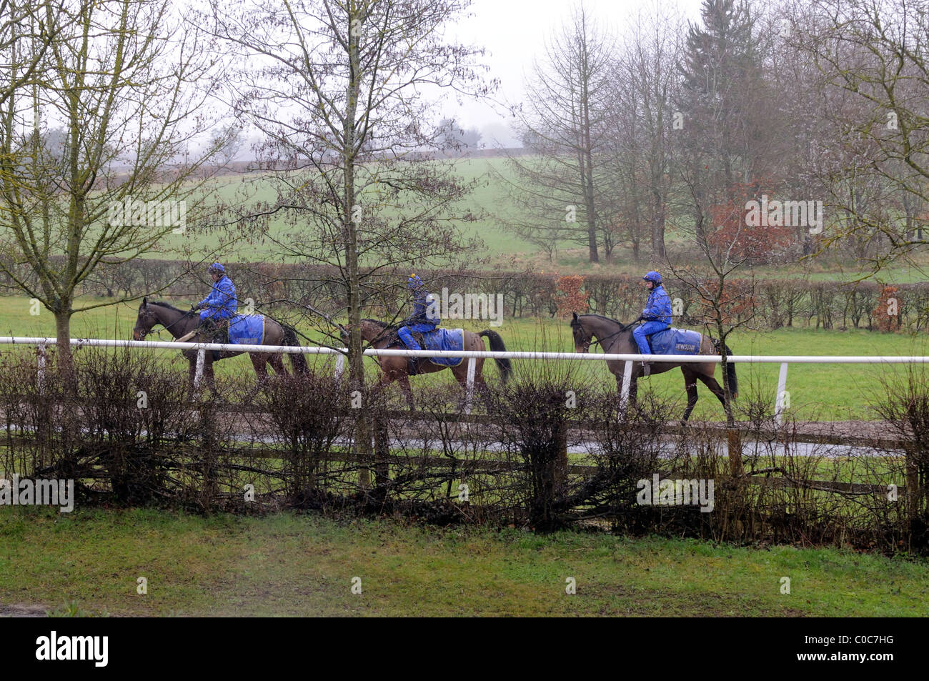 Jackdaws castle hi-res stock photography and images - Alamy
