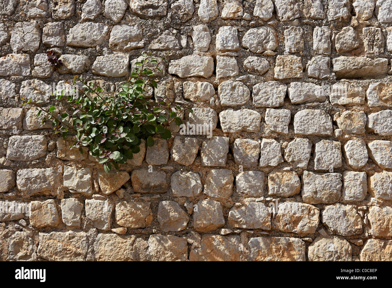 Wall in Ibiza. Spain Stock Photo - Alamy