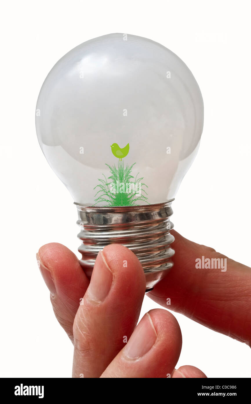 Eco Light Bulb isolated on white background Stock Photo - Alamy