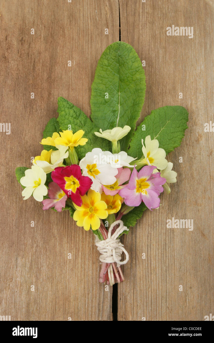 Posy string hi-res stock photography and images - Alamy