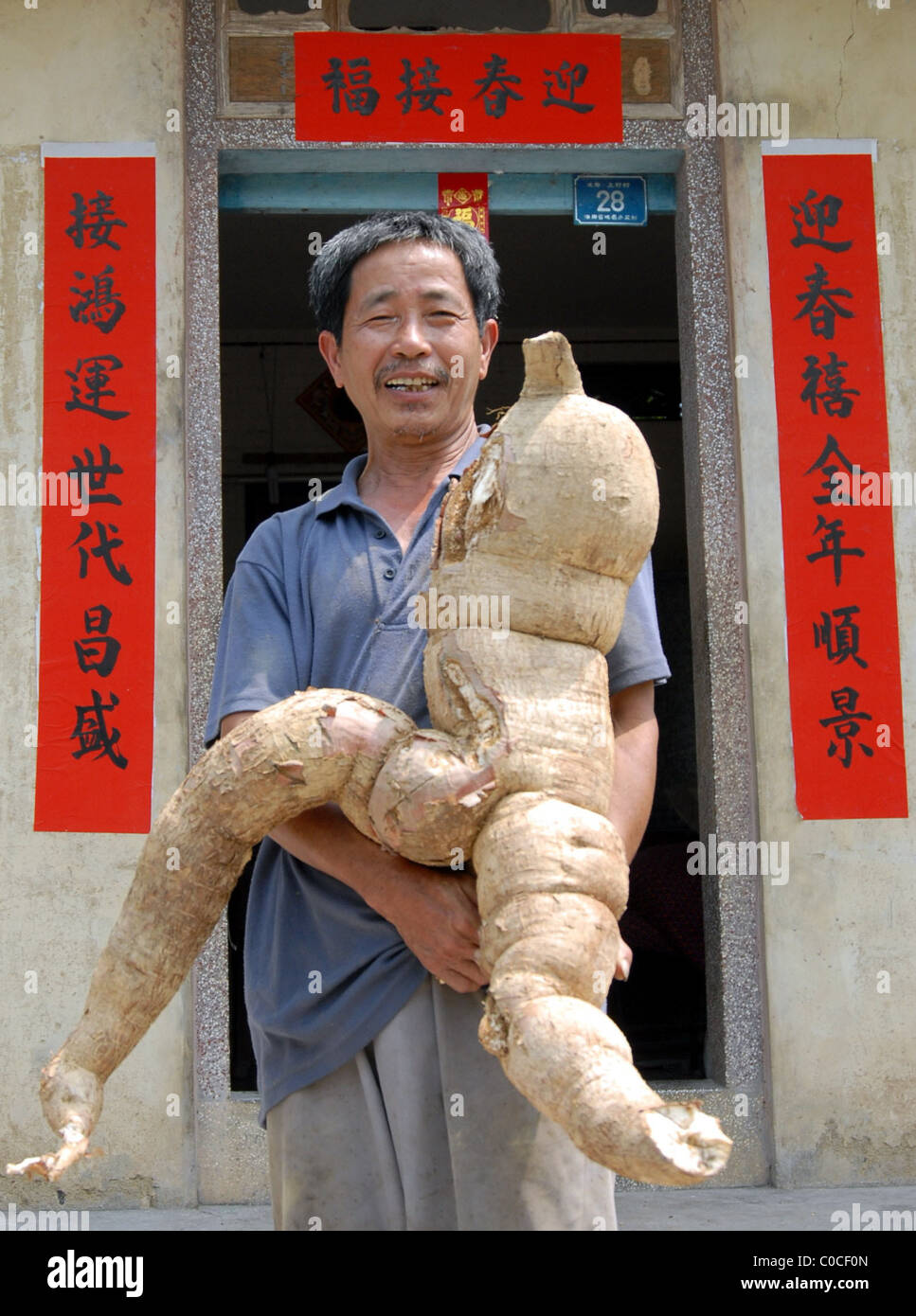 OLYMPIC-SHAPED TAPIOCA A bizarrely-shaped tapioca will be gifted to the ...