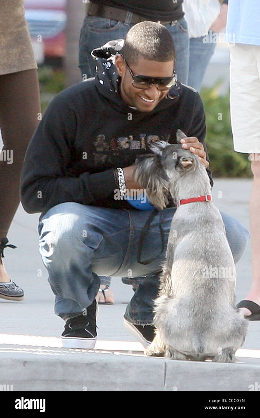 Usher takes his dog for a walk Stock Photo - Alamy