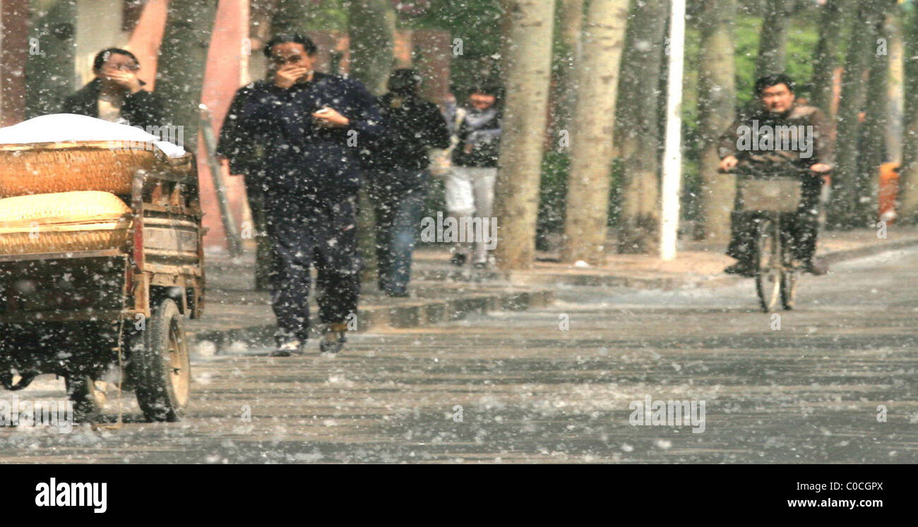 CHINESE CIVILIANS BATTLE CATKIN SNOW Flying catkins fill the air in ...