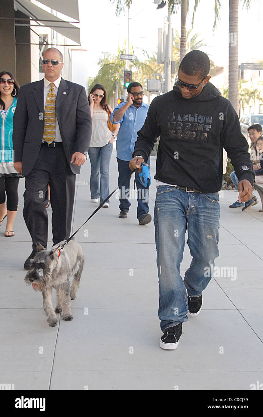 Usher dog hi-res stock photography and images - Alamy