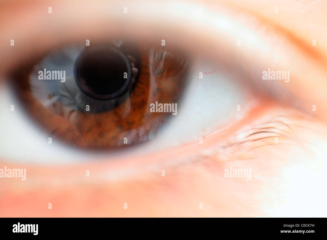 Eye sense organ hi-res stock photography and images - Alamy