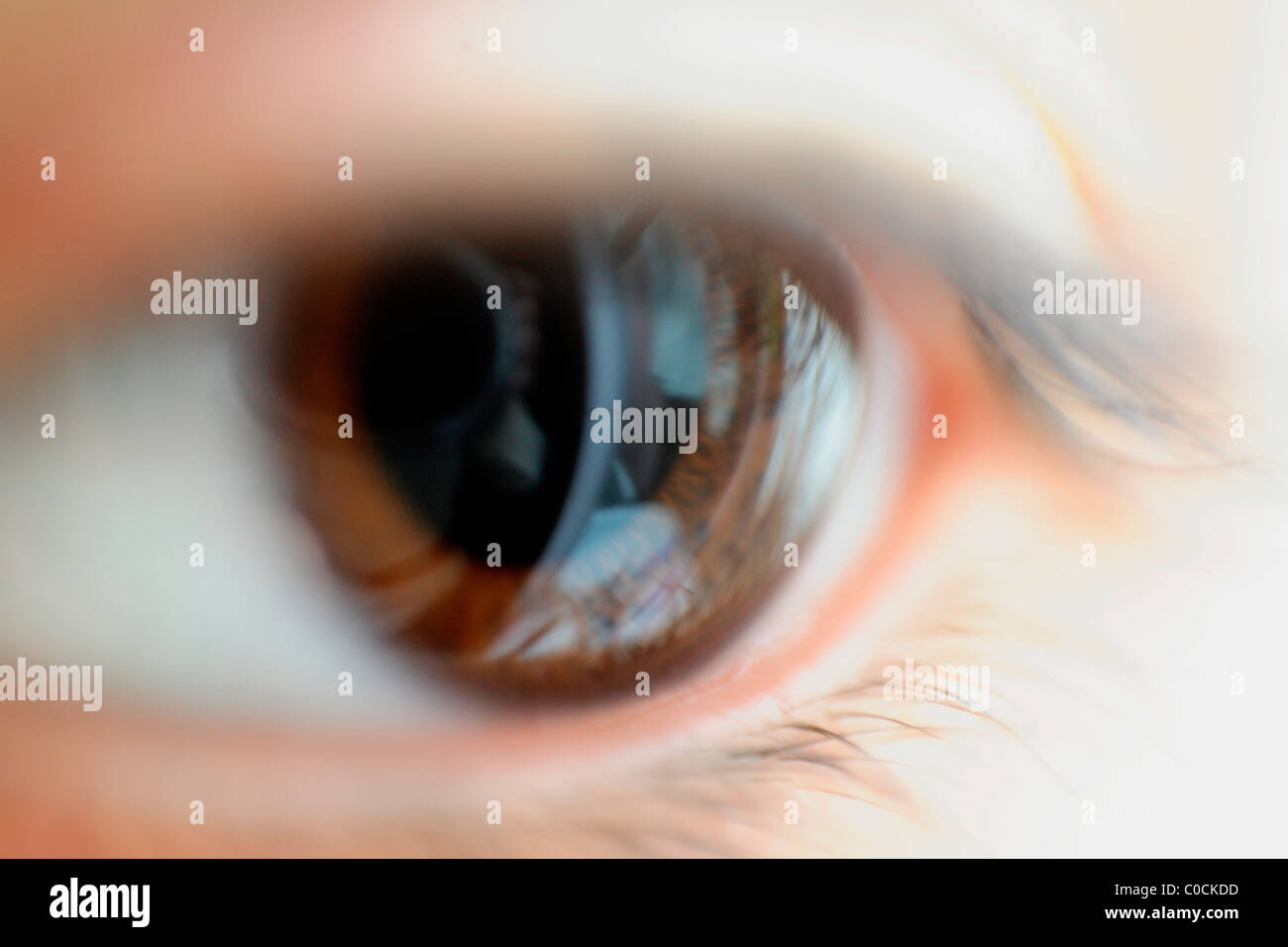 Eye sense organ hi-res stock photography and images - Alamy