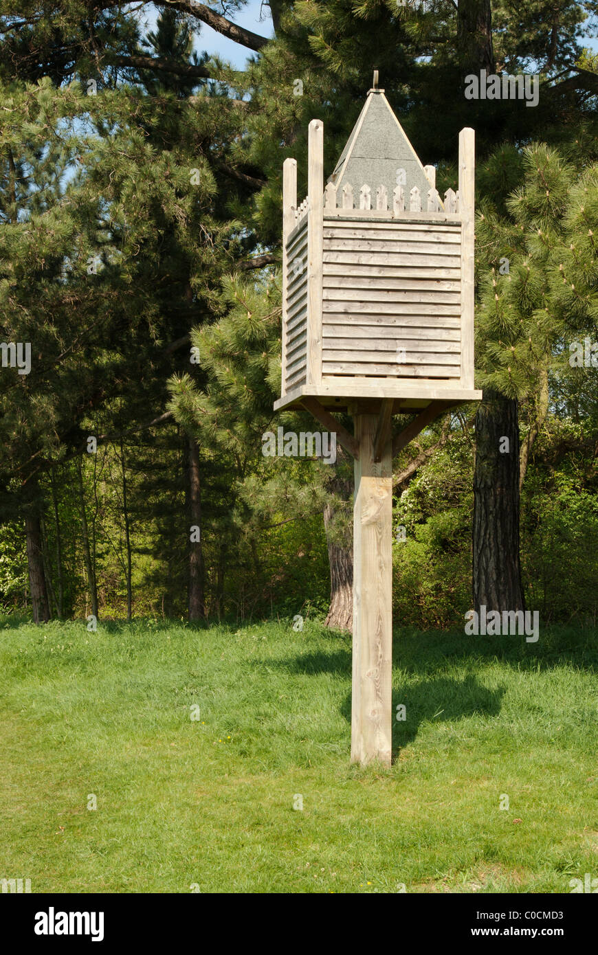 Bat nesting box in a woodland clearing Stock Photo - Alamy
