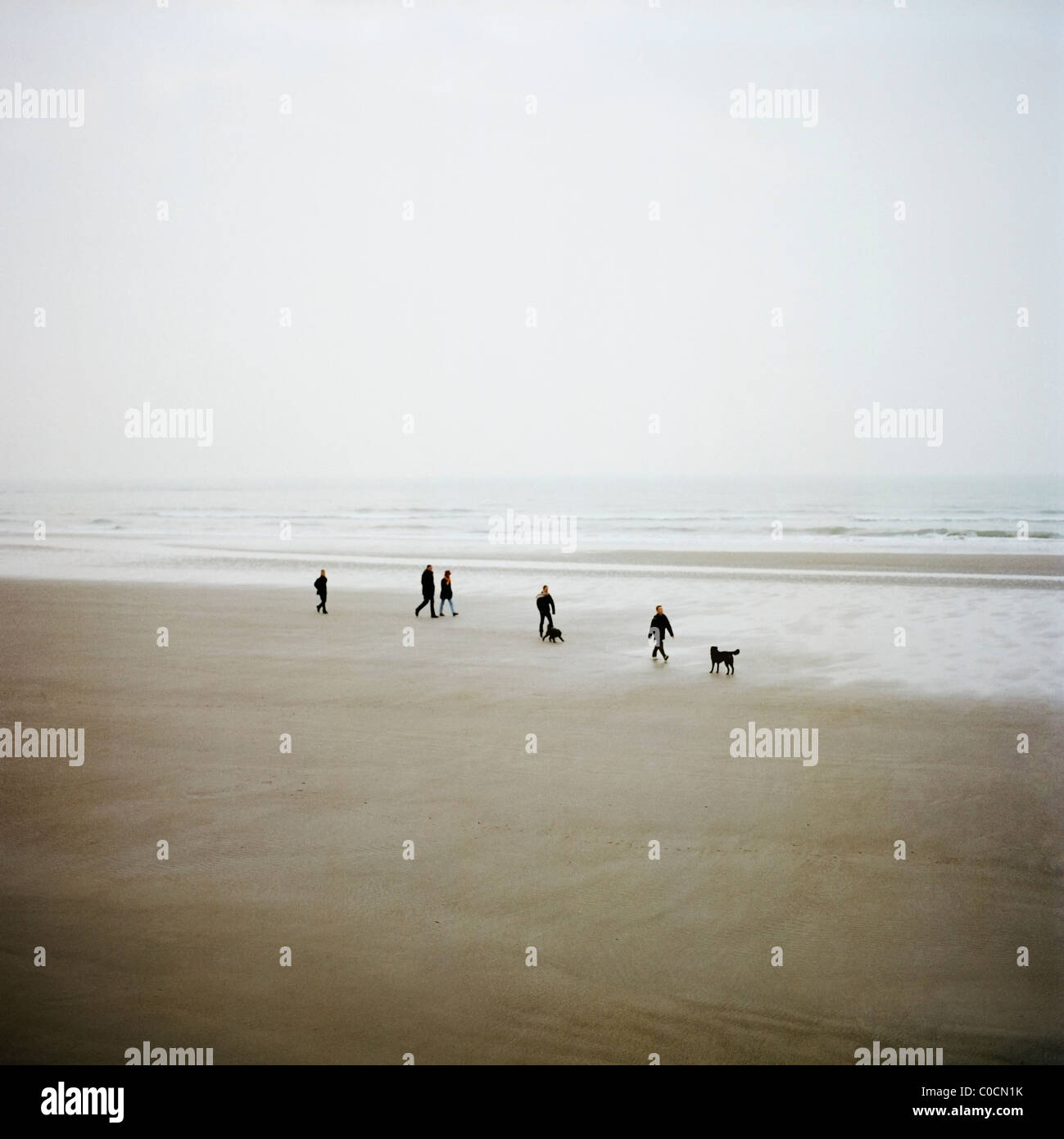 People walking dogs on beach Stock Photo - Alamy
