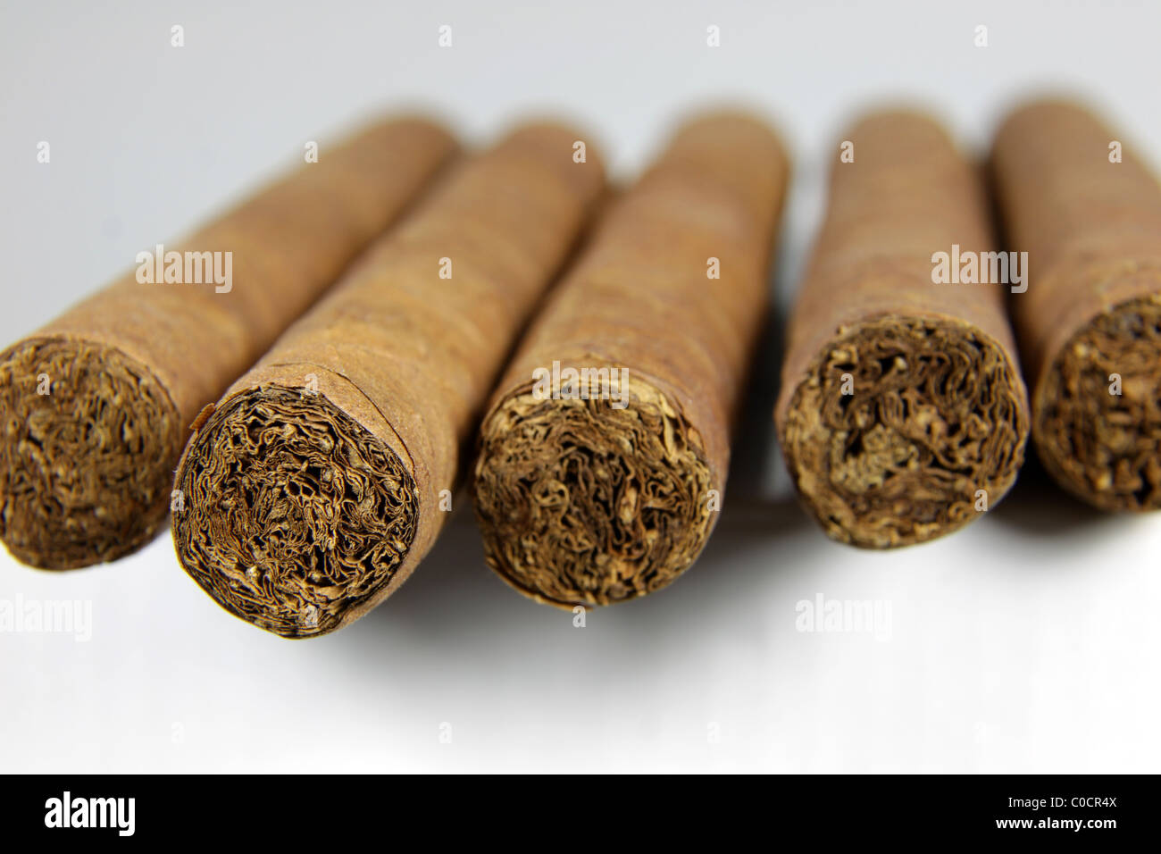 Dry cigars hi-res stock photography and images - Alamy