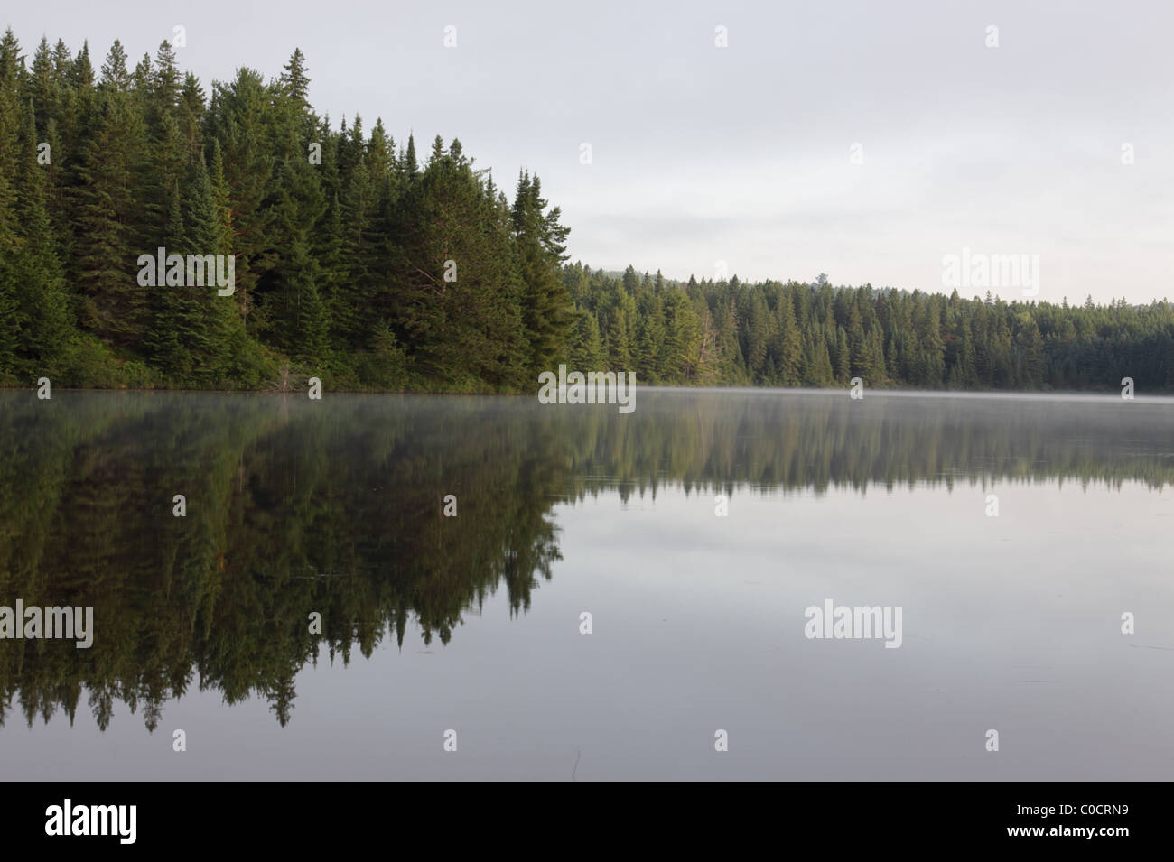 Pog Lake Tree Line Stock Photo - Alamy