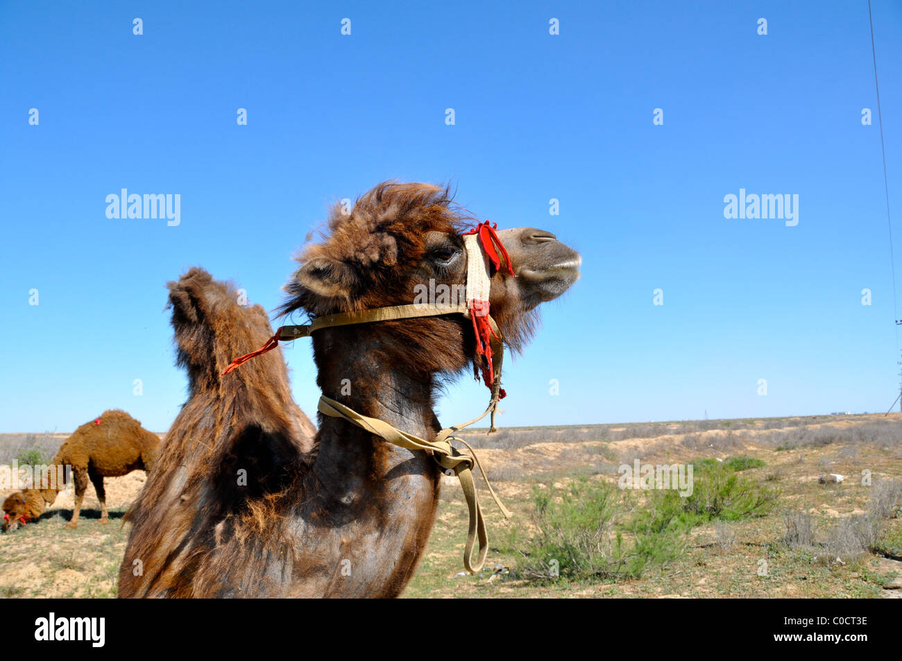 Canal poles hi-res stock photography and images - Alamy