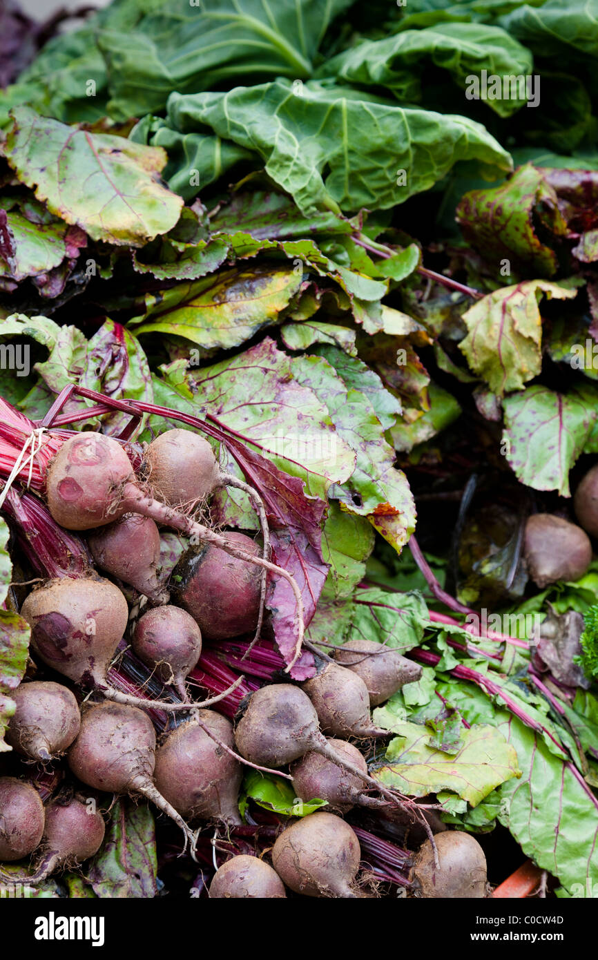 Display of beetroots on a market stall Stock Photo - Alamy