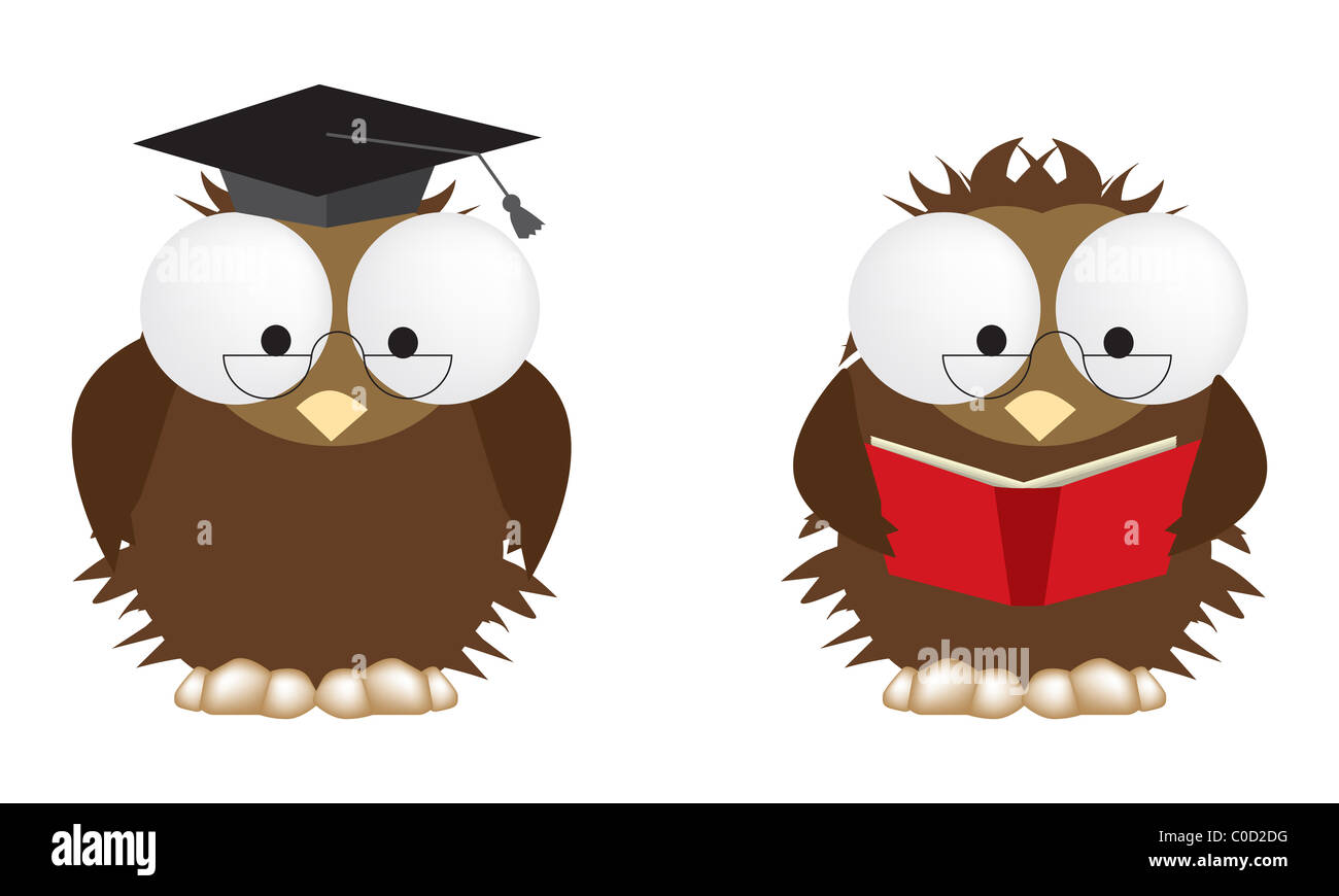 2 illustrations of studious owls, vector fully editable Stock Photo - Alamy