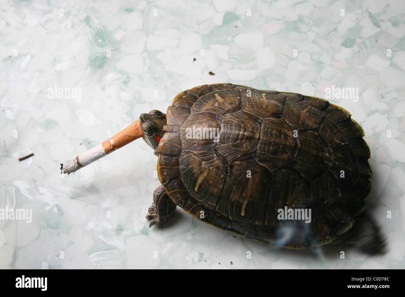 Slow paced hi-res stock photography and images - Alamy