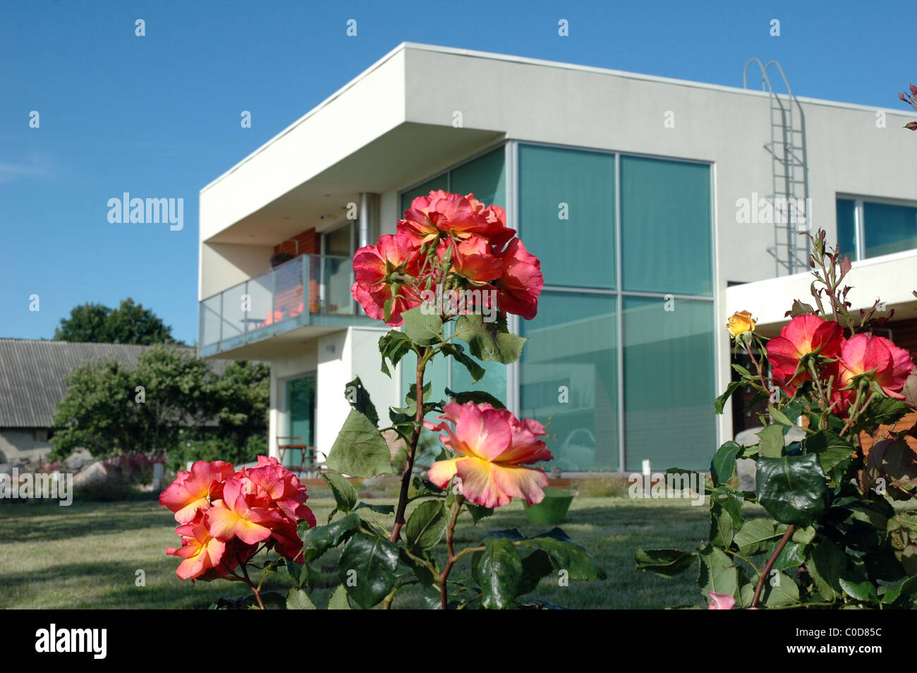 modern architecture with roses Stock Photo - Alamy