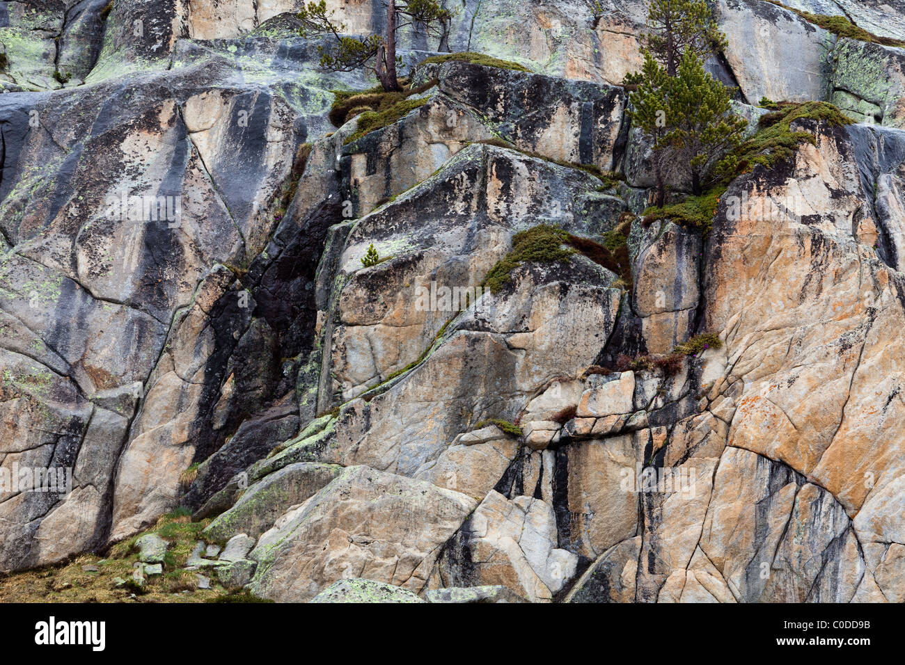 Geology rock face of French Pyrenees mountain Stock Photo - Alamy