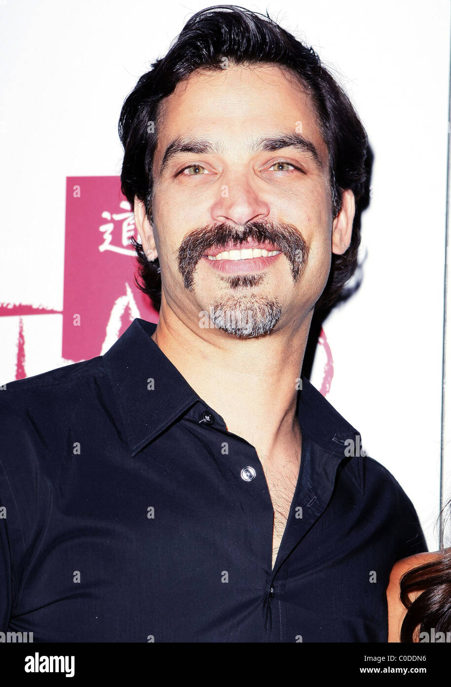 Johnathon Schaech Prom Night