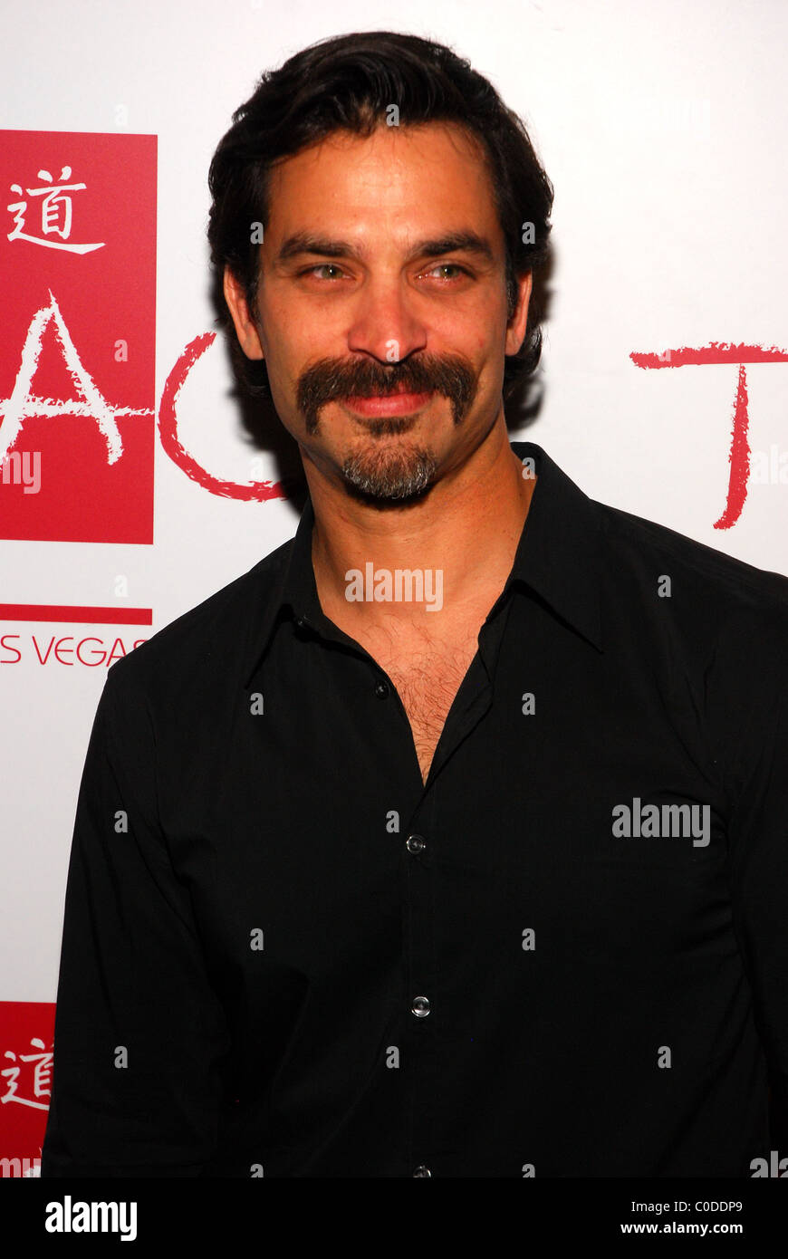 Johnathon Schaech Prom Night Release Party at TAO Las Vegas, Nevada ...