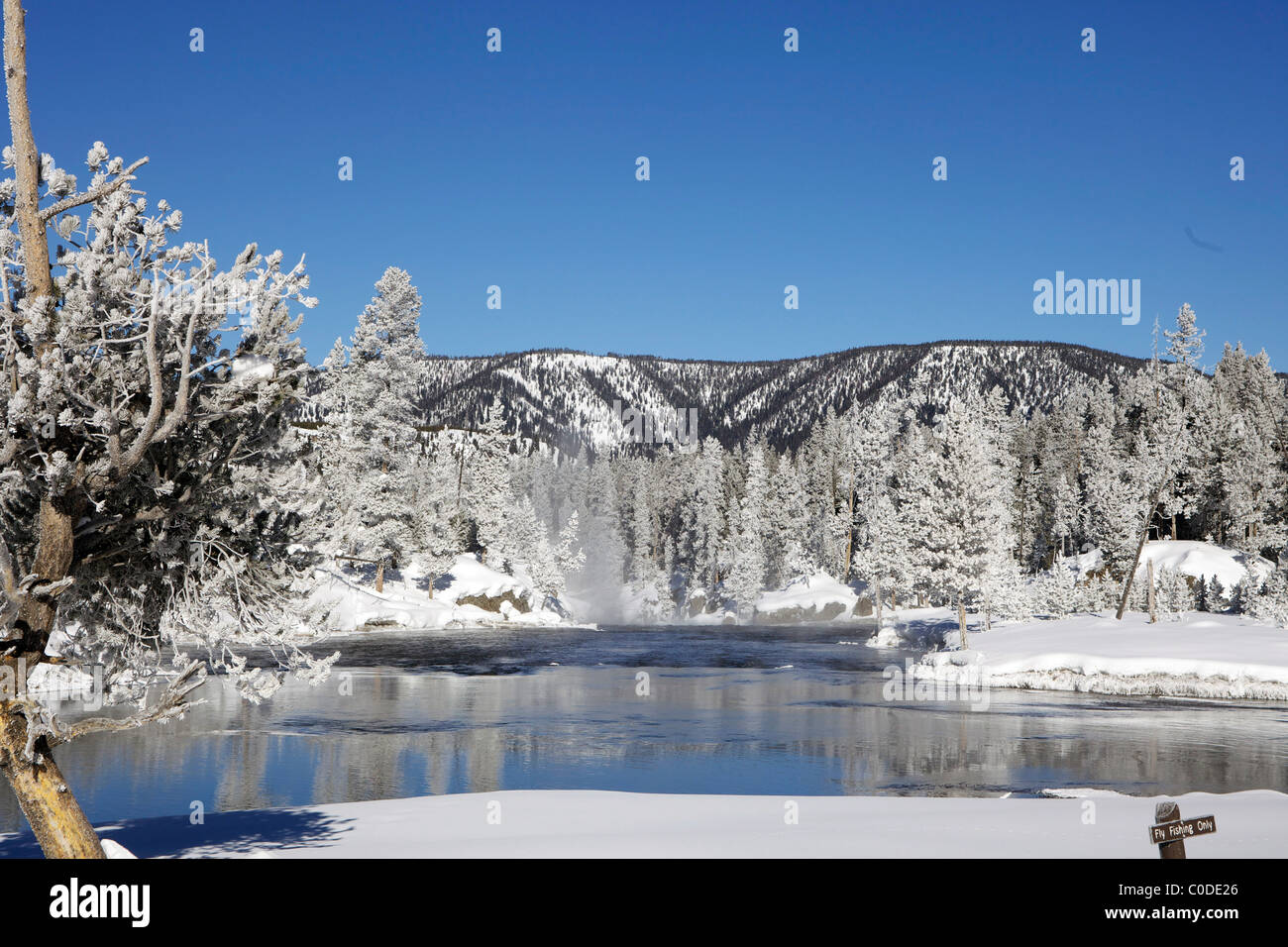 A cold morning in Yellowstone Stock Photo - Alamy