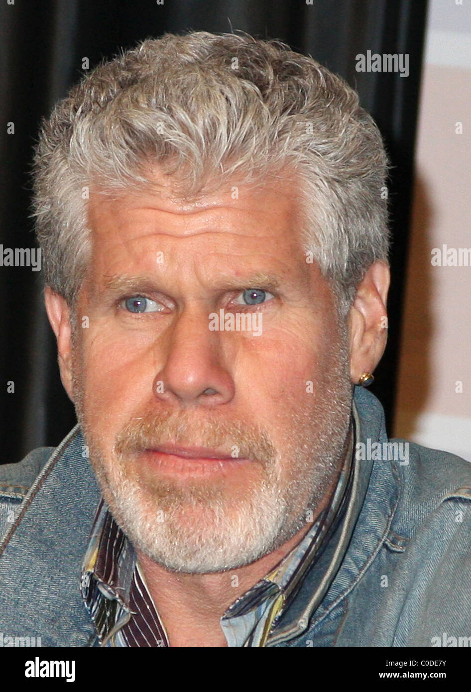 Ron Perlman 'Hellboy II: The Golden Army' preview at ComicCon held at ...