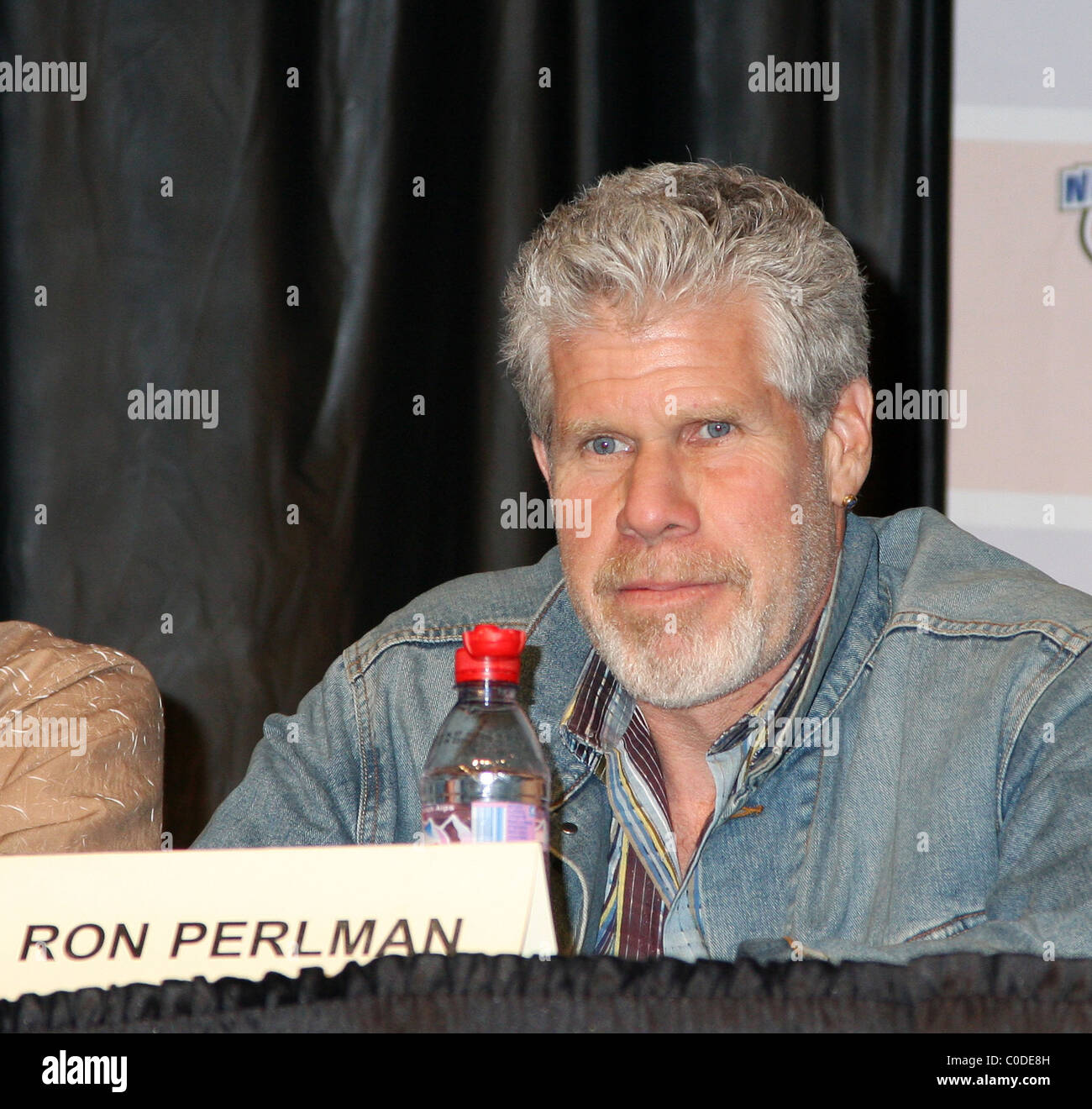 Ron Perlman 'Hellboy II: The Golden Army' preview at ComicCon held at ...