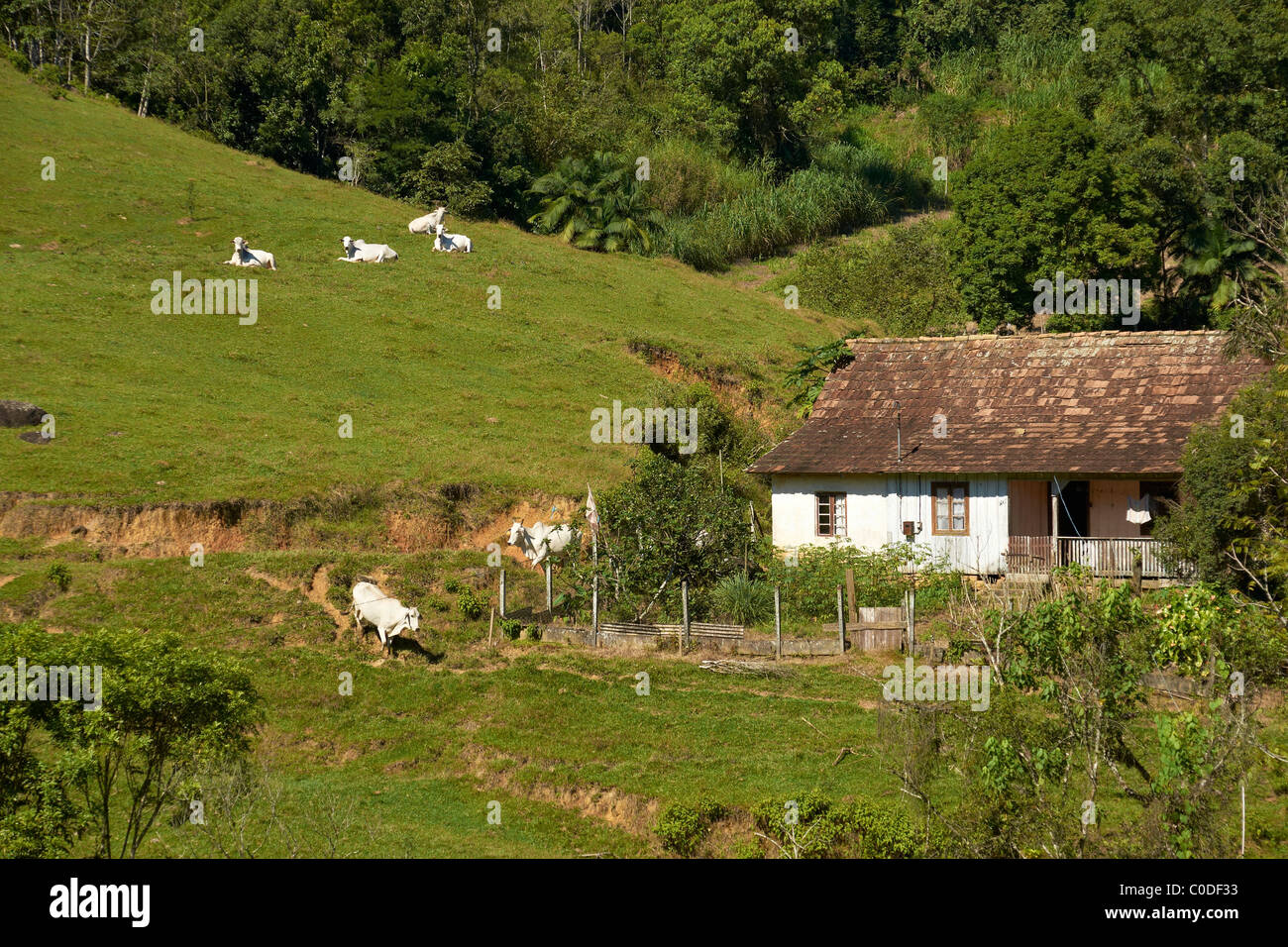 Farmhouse in South Brazil Stock Photo - Alamy