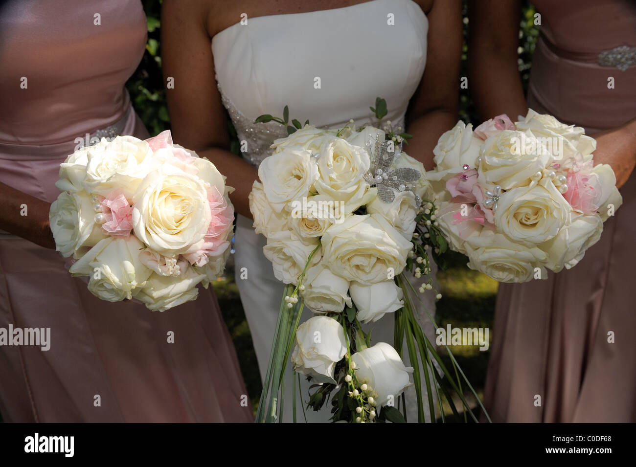 Alan edwards hi-res stock photography and images - Alamy