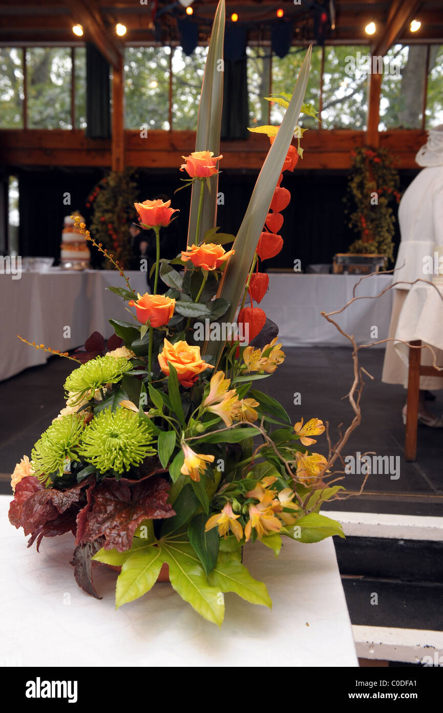 Alan edwards hi-res stock photography and images - Alamy