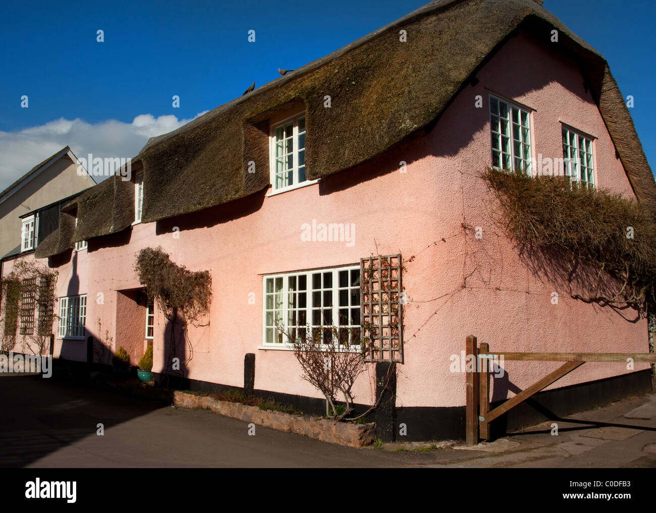 Dunster an Historic Village and Castle with Thatched Cottages in ...