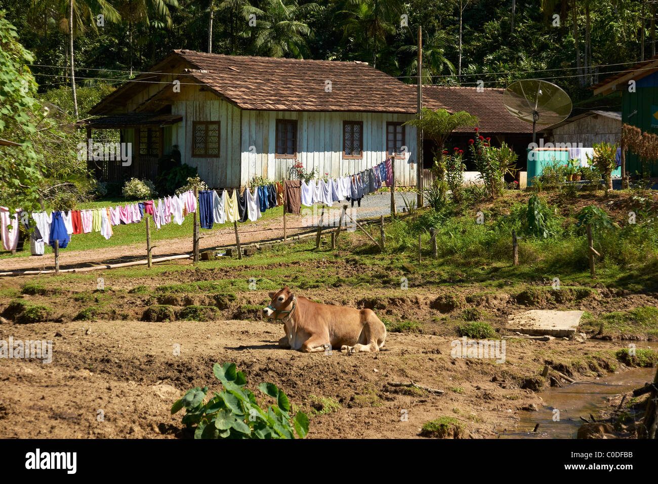 Farmhouse in South Brazil Stock Photo - Alamy
