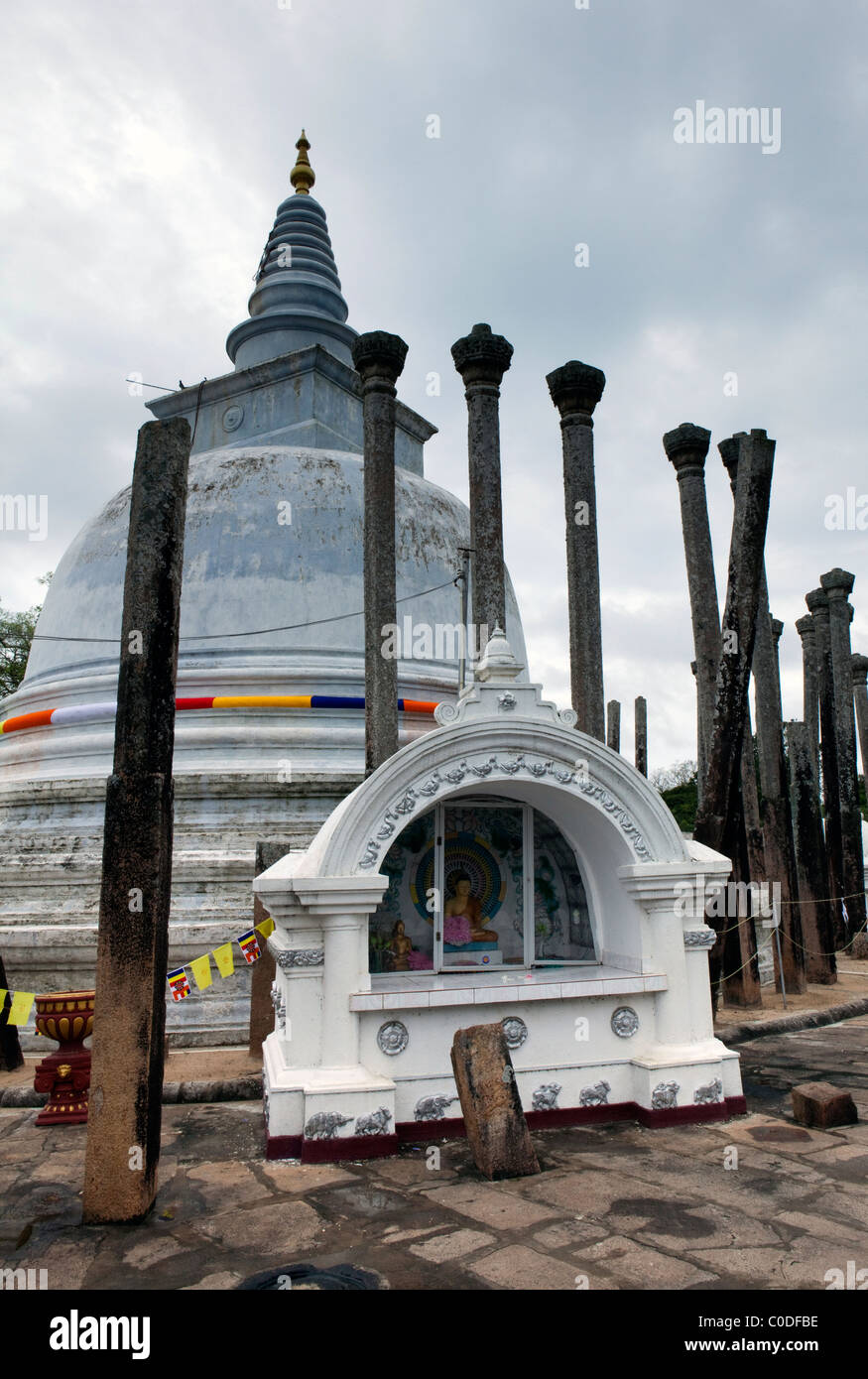 Thuparama hi-res stock photography and images - Alamy