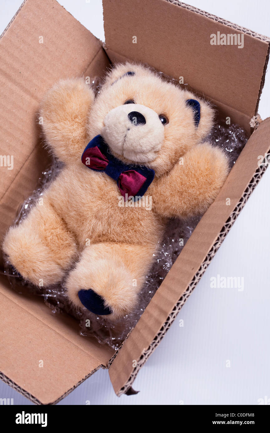 Stuffed teddy bear toy in a carton box on white background Stock Photo ...