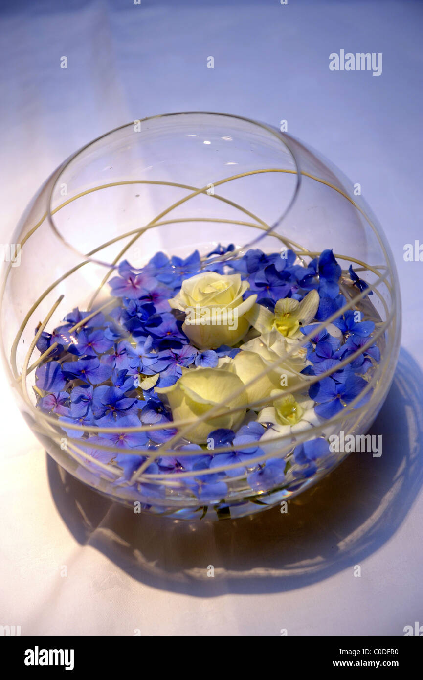 Alan edwards hi-res stock photography and images - Alamy