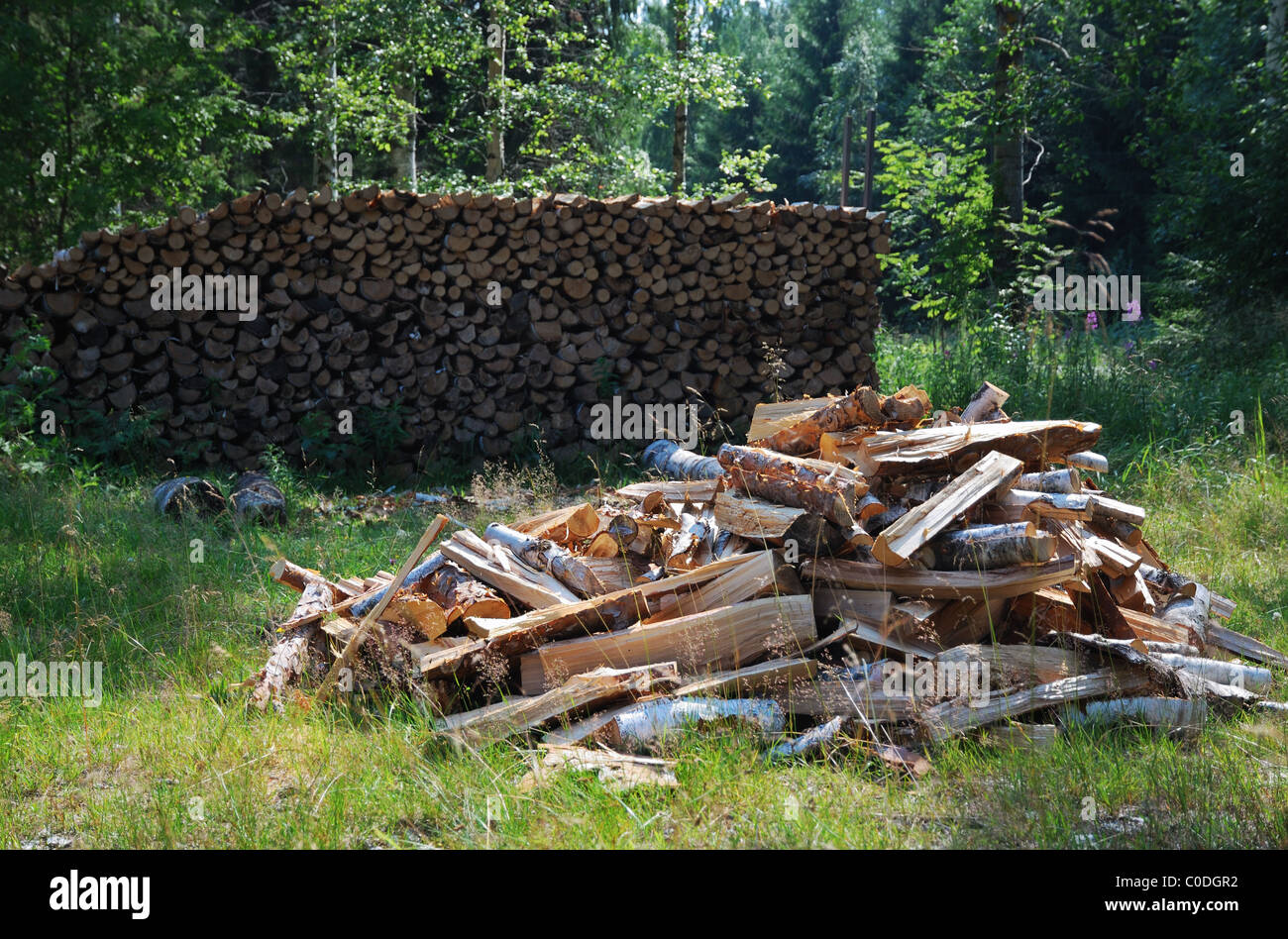 Green yard with wood stack Stock Photo - Alamy
