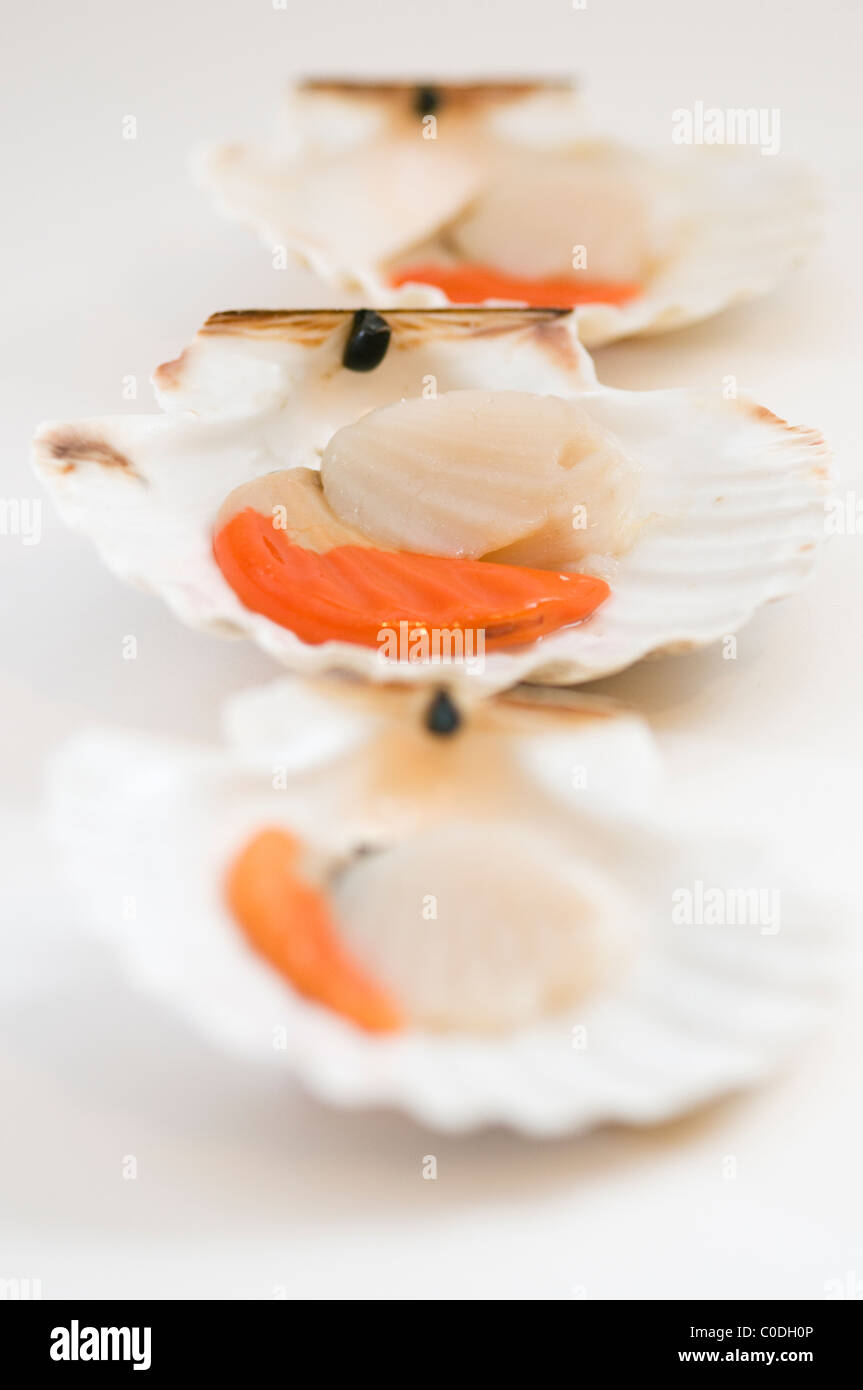 KING SCALLOPS ON SHELLS Stock Photo - Alamy