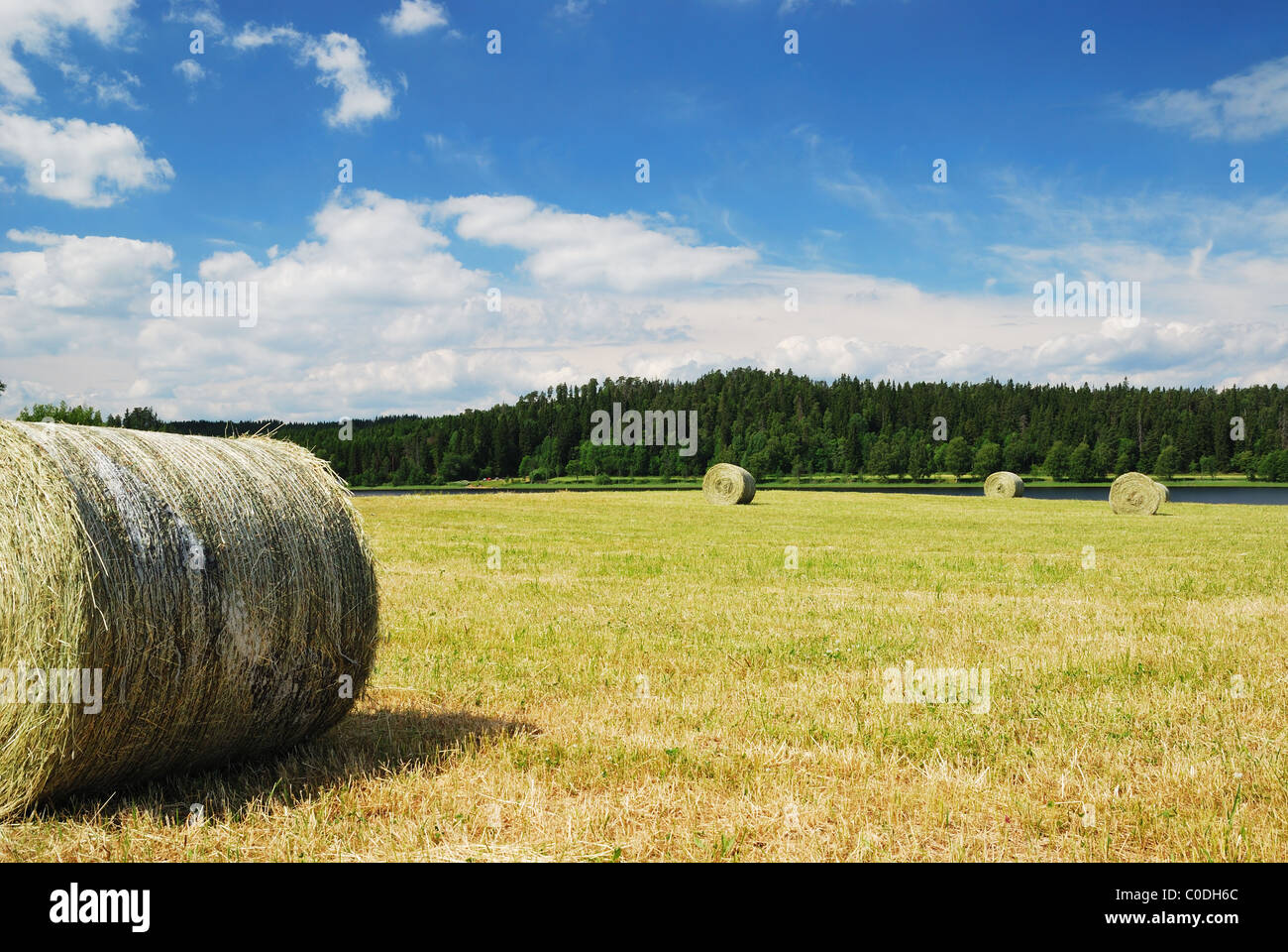 Swedish rural landscape with straw packages on the harvested field ...