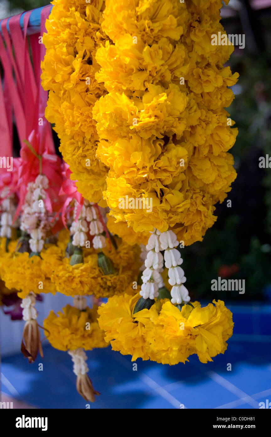 Typical flower hi-res stock photography and images - Alamy