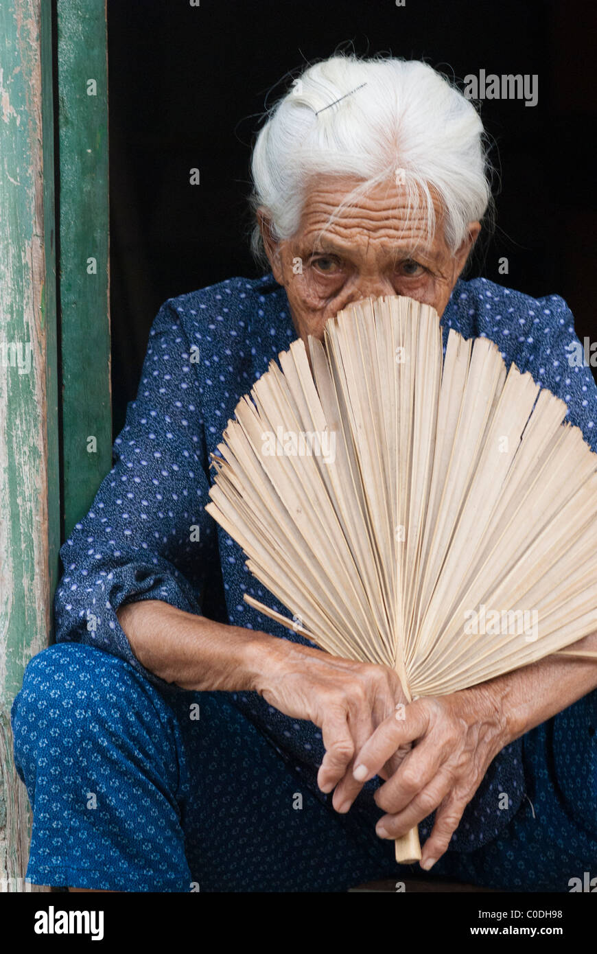 Old woman with fan Stock Photo - Alamy