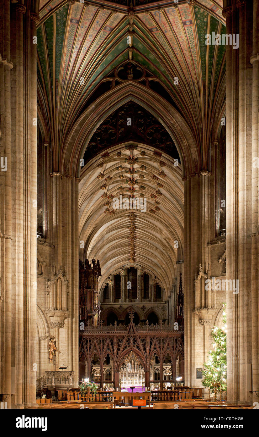 Interior of ely cathedral at night hi-res stock photography and images ...